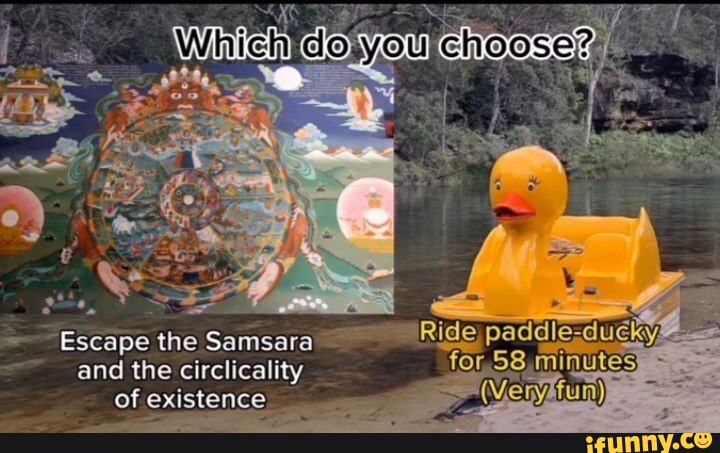 Samsara memes. Best Collection of funny Samsara pictures on iFunny