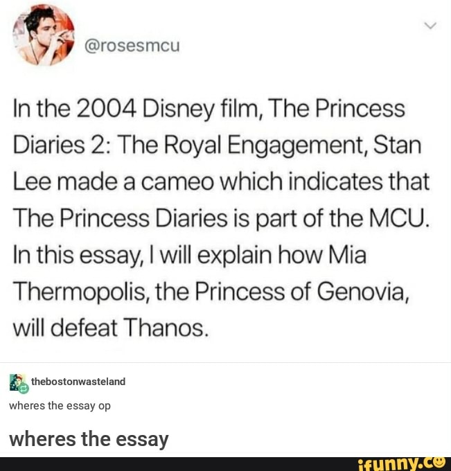 Princess Diary Memes