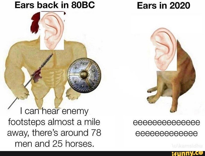 Ears back in 80BC Ears in 2020 footsteps almost a mile eeeeeeeeeeeeee ...