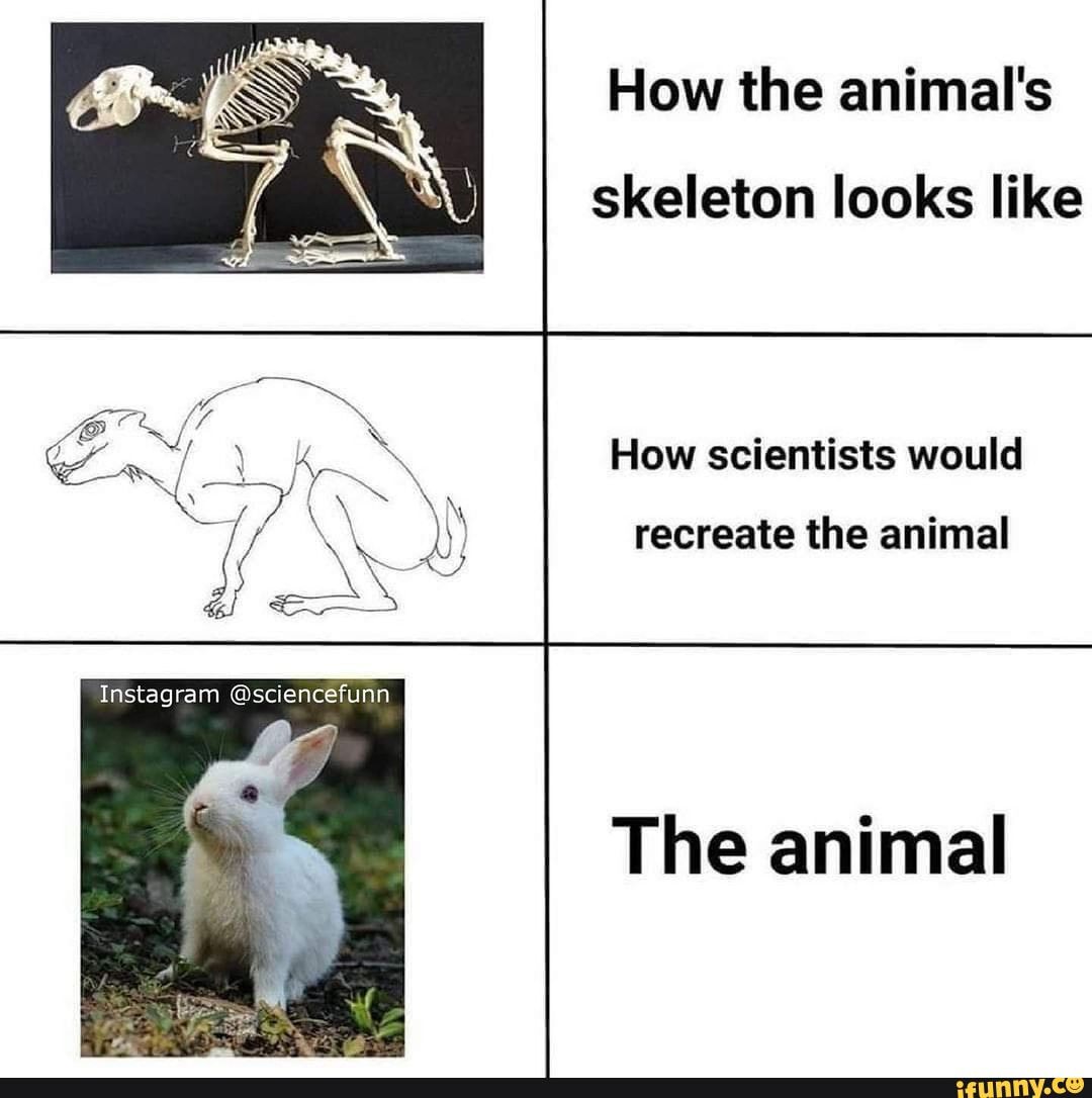 How the animal's skeleton looks like How scientists would recreate the ...