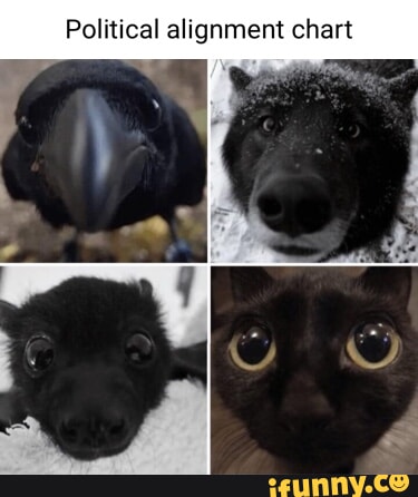 Political alignment chart - iFunny