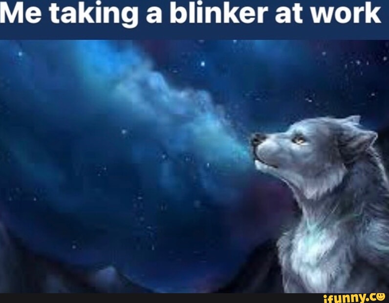 Zooted memes. Best Collection of funny Zooted pictures on iFunny