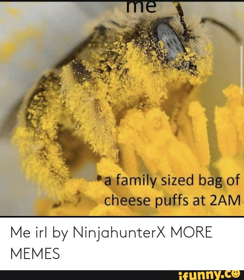 Me irl by NinjahunterX MORE MEMES - family sized bag of cheese puffs at ...