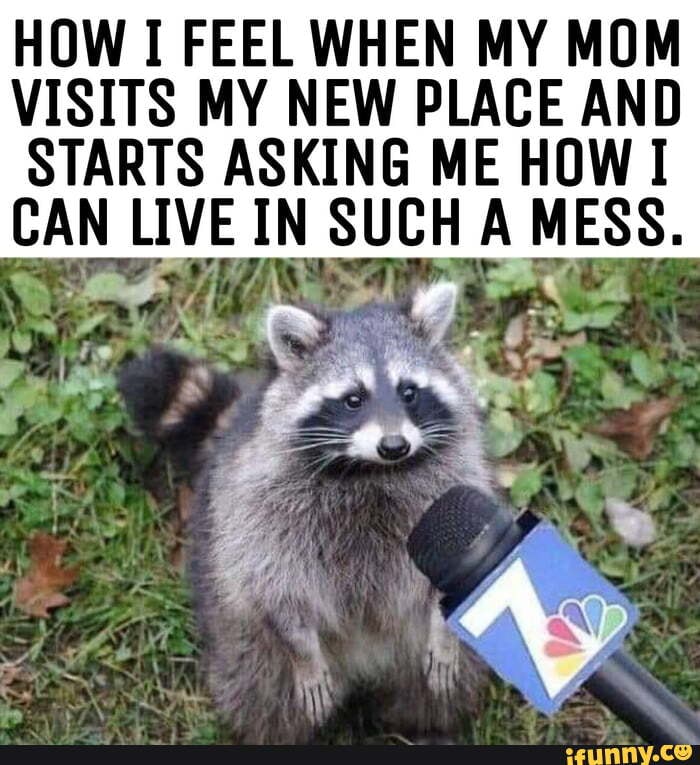 I_made_dis memes. Best Collection of funny I_made_dis pictures on iFunny