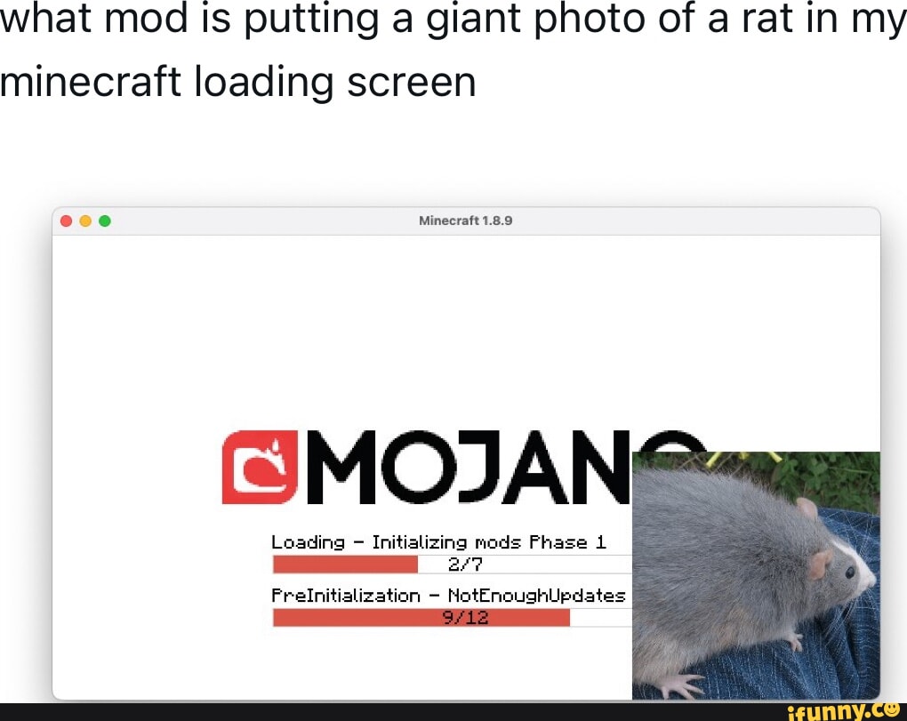 What mod Is putting a giant photo of a rat in my minecraft loading ...