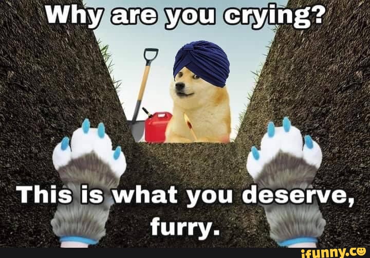 Why are you crying? This is what you deserve, furry. - iFunny
