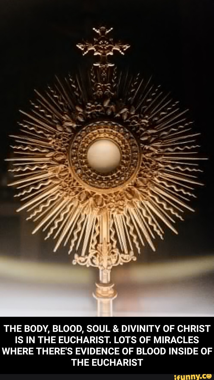 THE BODY, BLOOD, SOUL & DIVINITY OF CHRIST IS IN THE EUCHARIST. LOTS OF ...