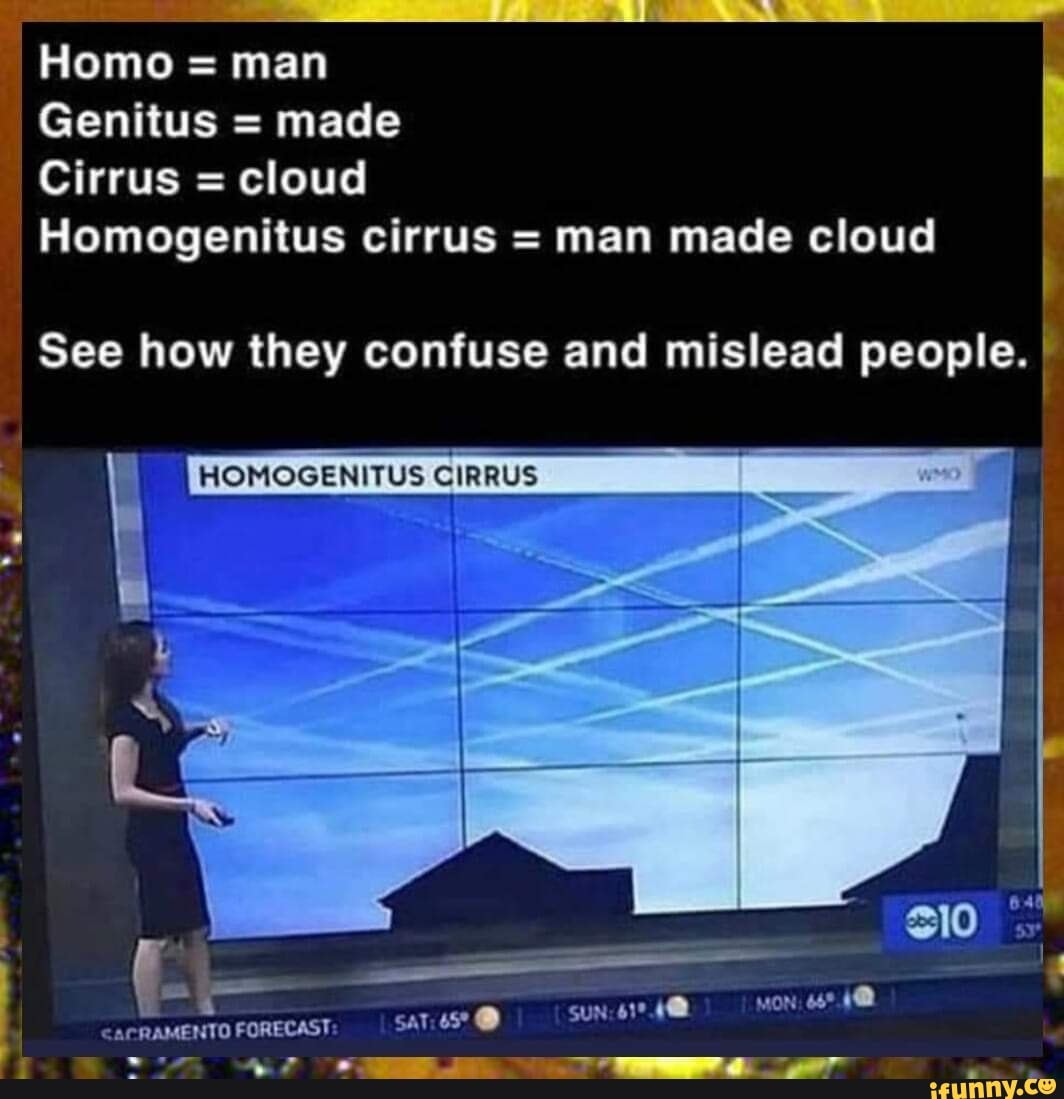 Homo = man Genitus = made Cirrus = cloud Homogenitus cirrus = man made ...