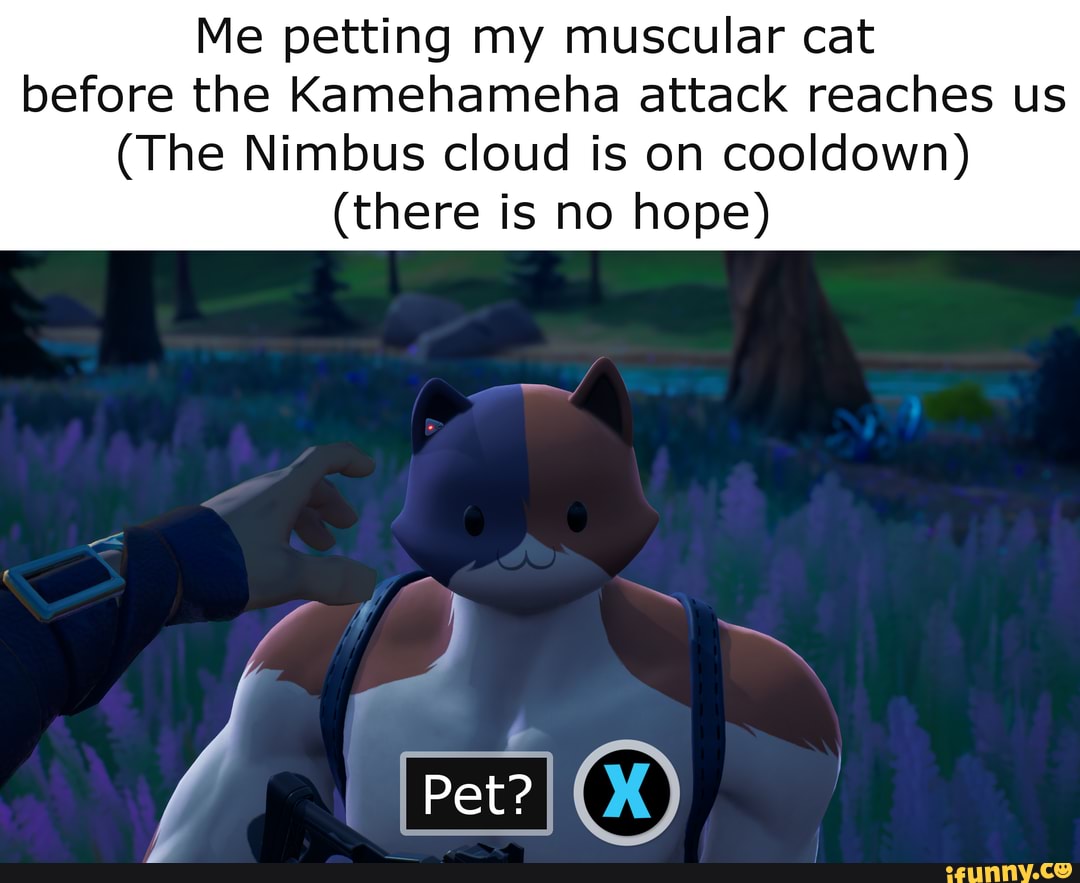 Nimbus memes. Best Collection of funny Nimbus pictures on iFunny