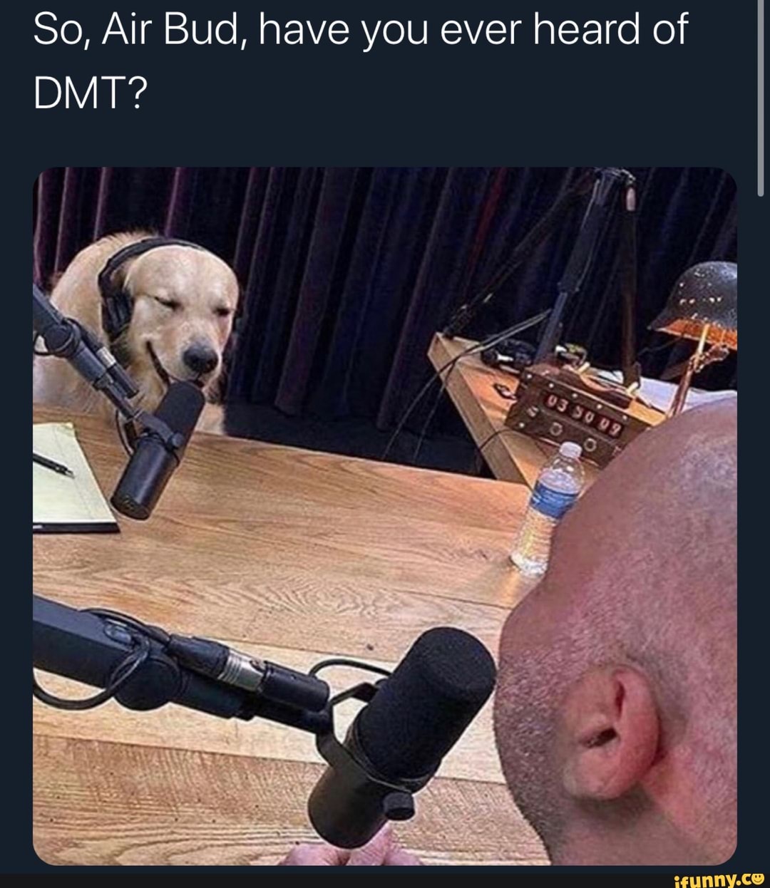 So, Air Bud, have you ever heard of - iFunny