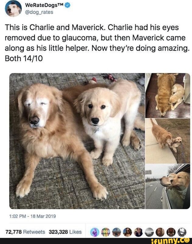 Glaucoma memes. Best Collection of funny Glaucoma pictures on iFunny