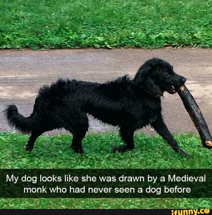 My dog looks like she was drawn by a Medieval monk who had never seen a ...