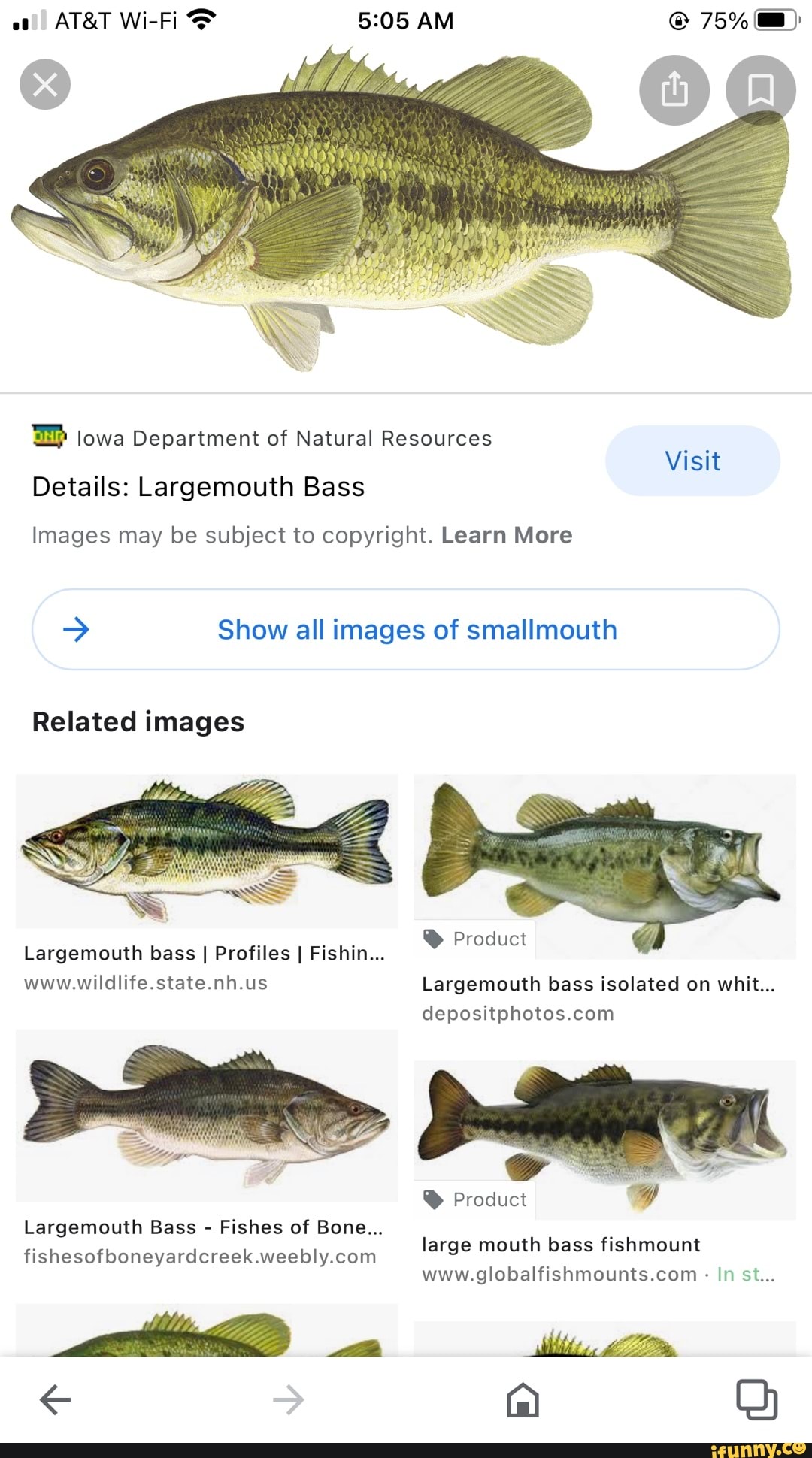 Smallmouth memes. Best Collection of funny Smallmouth pictures on iFunny