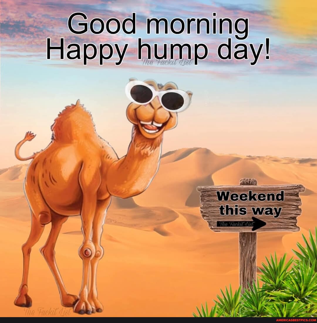 Good morning Happy hump day! - America’s best pics and videos