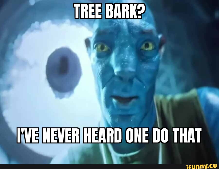 Avatarguy memes. Best Collection of funny Avatarguy pictures on iFunny