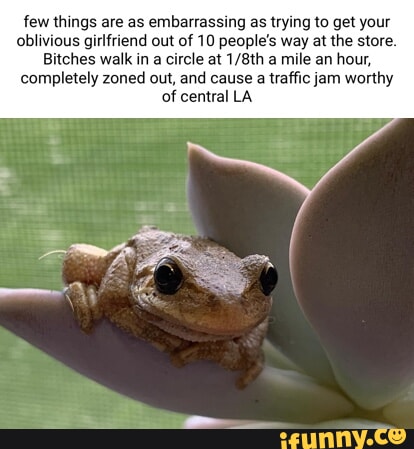 Oblivious memes. Best Collection of funny Oblivious pictures on iFunny