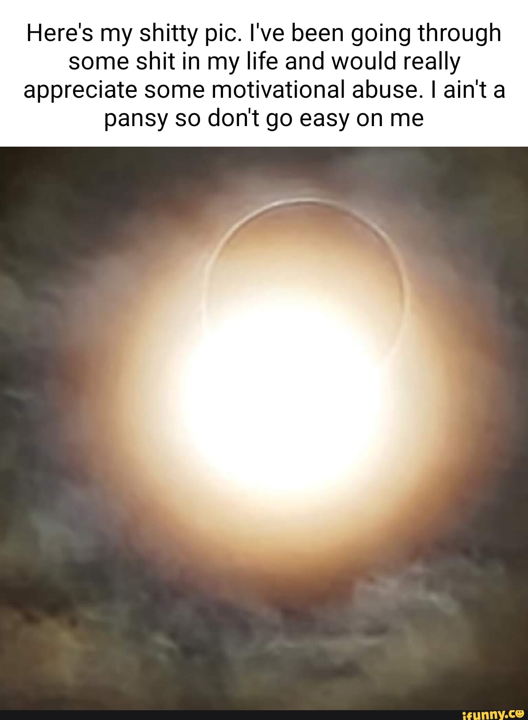 Pansy memes. Best Collection of funny Pansy pictures on iFunny