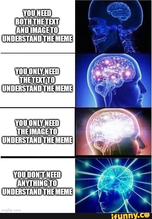 VOU ONLY MEED THE TEXT TO UNDERSTAND THE MEME YOU ONLY REEO THE IMAGE ...