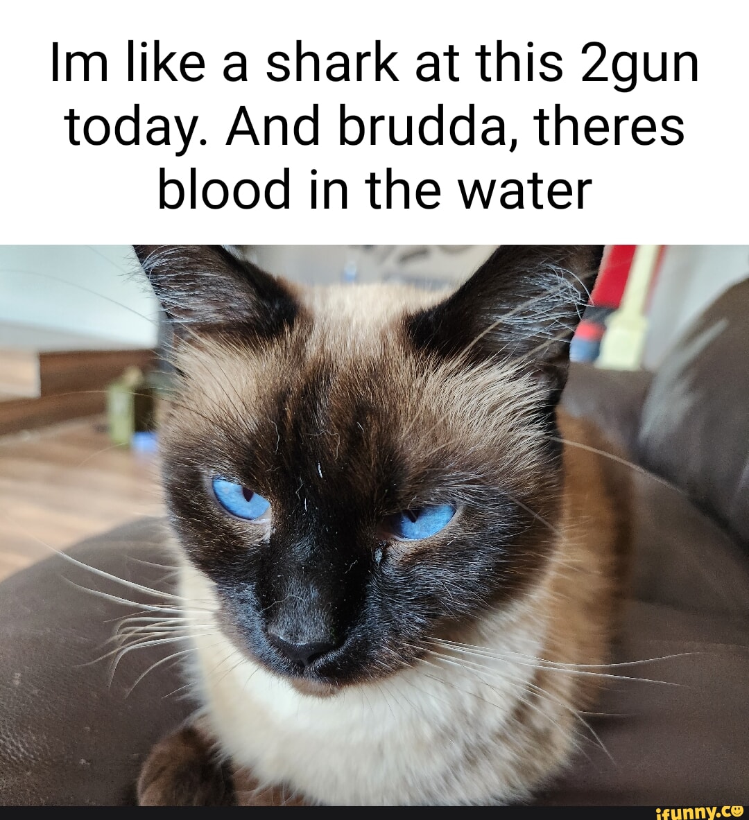 Brudda memes. Best Collection of funny Brudda pictures on iFunny