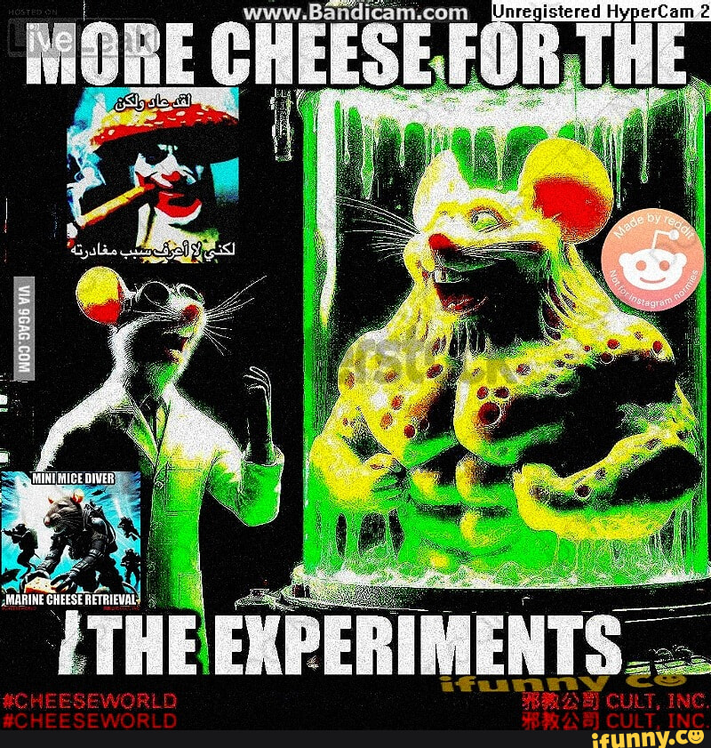 Experiment memes. Best Collection of funny Experiment pictures on iFunny