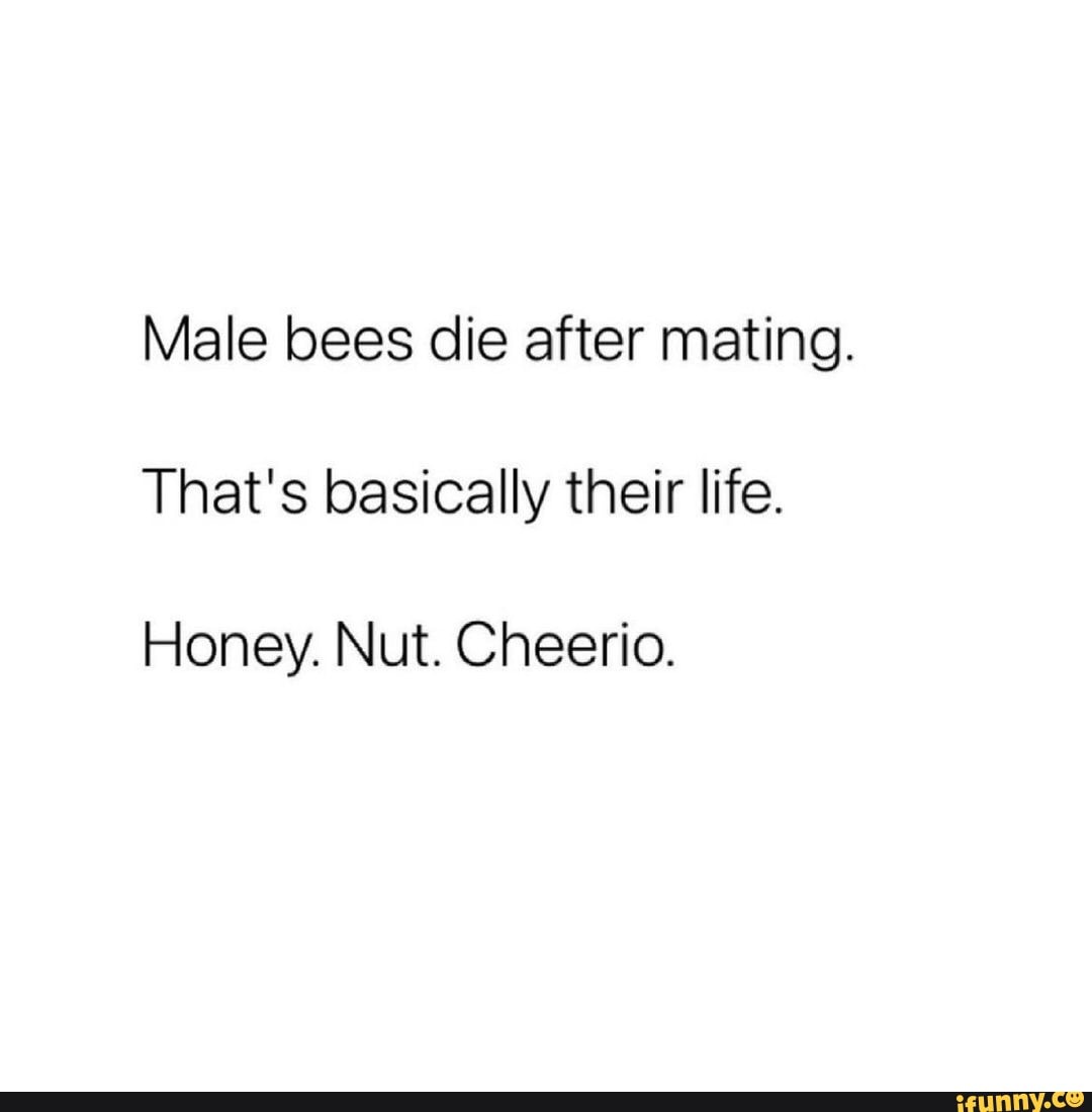 Beememe memes. Best Collection of funny Beememe pictures on iFunny
