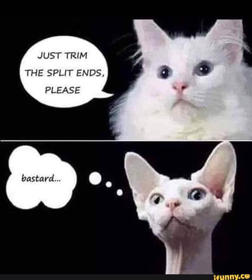 Trim memes. Best Collection of funny Trim pictures on iFunny