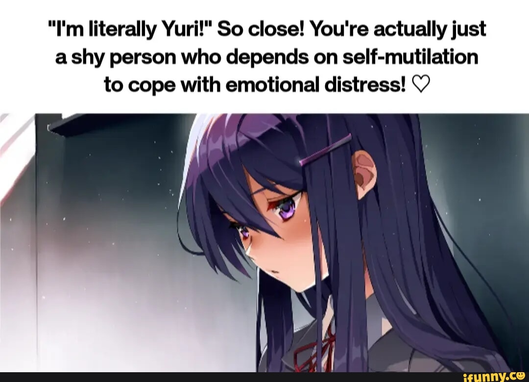 Yuri memes. Best Collection of funny Yuri pictures on iFunny