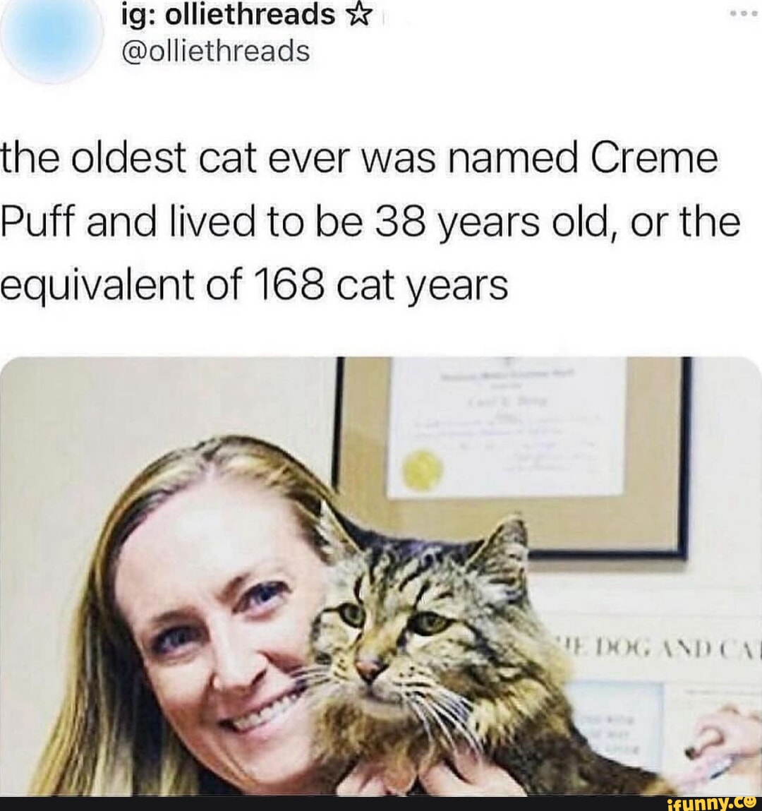 The oldest cat ever was named Creme Puff and lived to be 38 years old ...