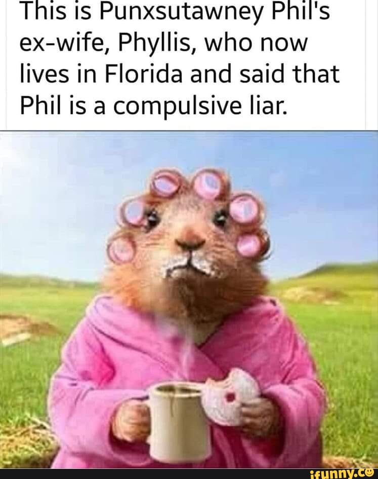 This ts Punxsutawney Phil's ex-wife, Phyllis, who now lives in Florida ...
