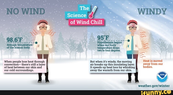 Convection memes. Best Collection of funny Convection pictures on iFunny