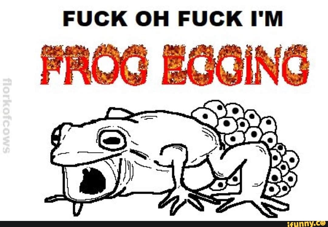Florkofcows memes. Best Collection of funny Florkofcows pictures on iFunny