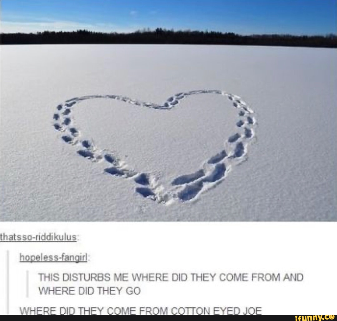 Riddikulus memes. Best Collection of funny Riddikulus pictures on iFunny