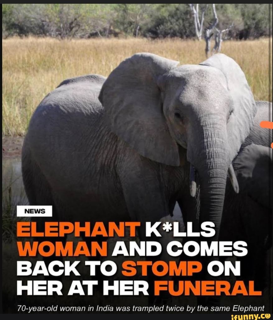 ELEPHANT K*LLS WOMAN AND COMES BACK TO STOMP ON HER AT HER FUNERAL 70 ...