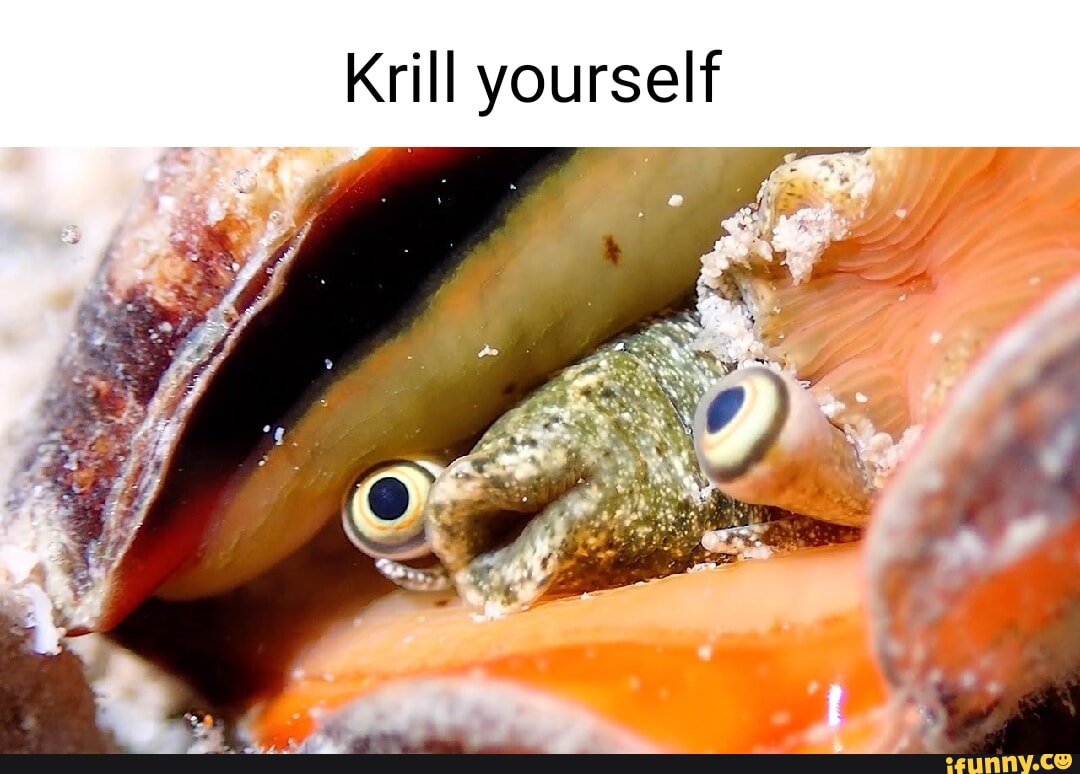 Krill memes. Best Collection of funny Krill pictures on iFunny