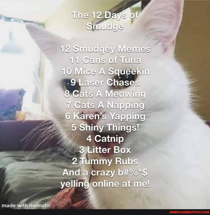 The 12 Smudge 12 Smudgey Memes 11 Cans of Tuna 10 Mice A Squeekin 9 ...