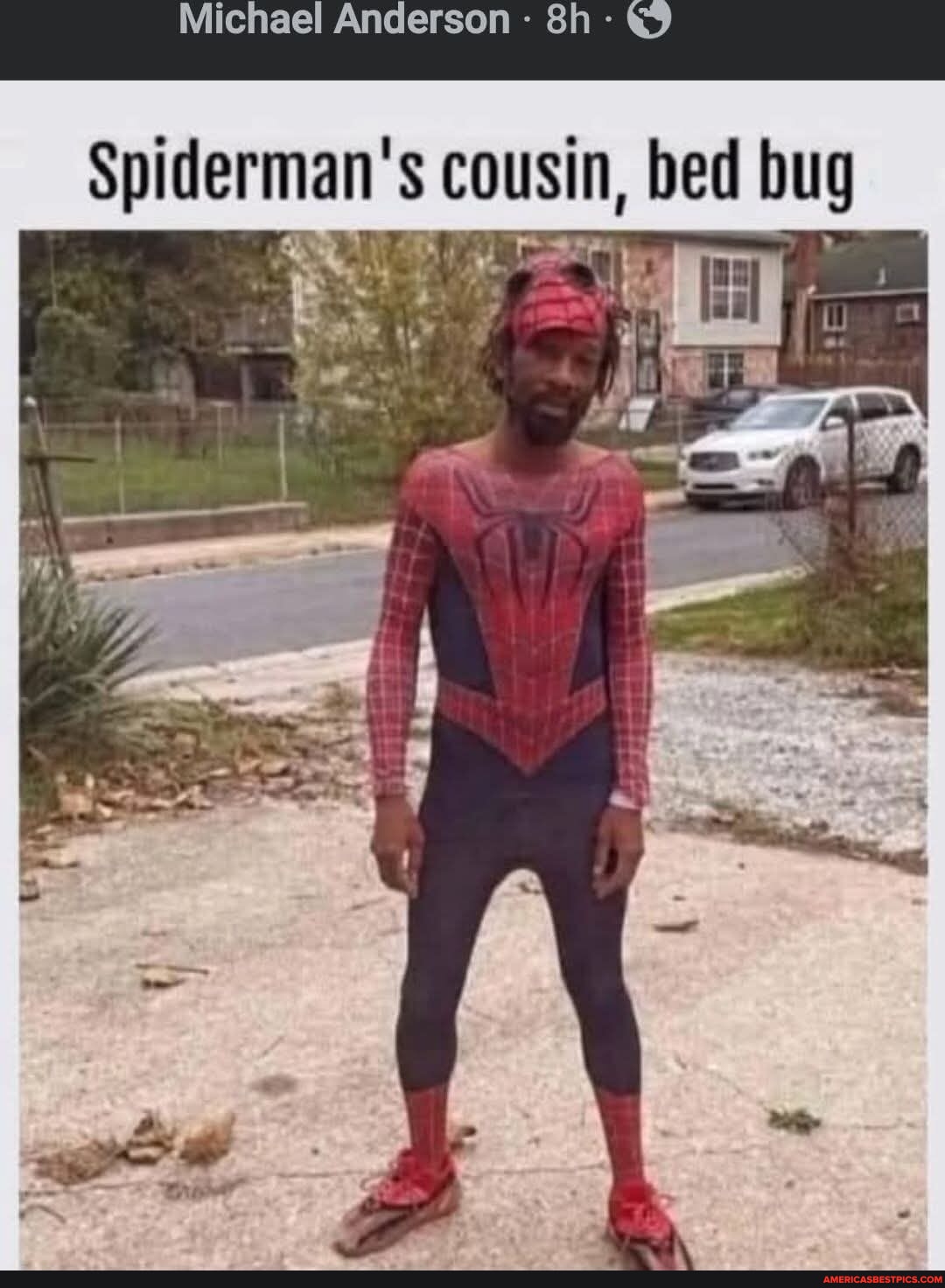 Michael Anderson: Spider cousin, bed bug - America’s best pics and videos