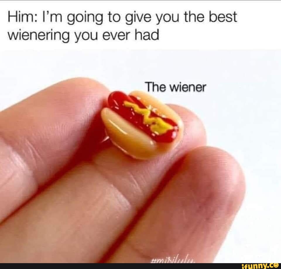Wienering memes. Best Collection of funny Wienering pictures on iFunny