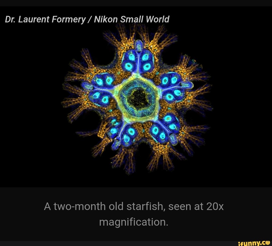 Microscopy memes. Best Collection of funny Microscopy pictures on iFunny