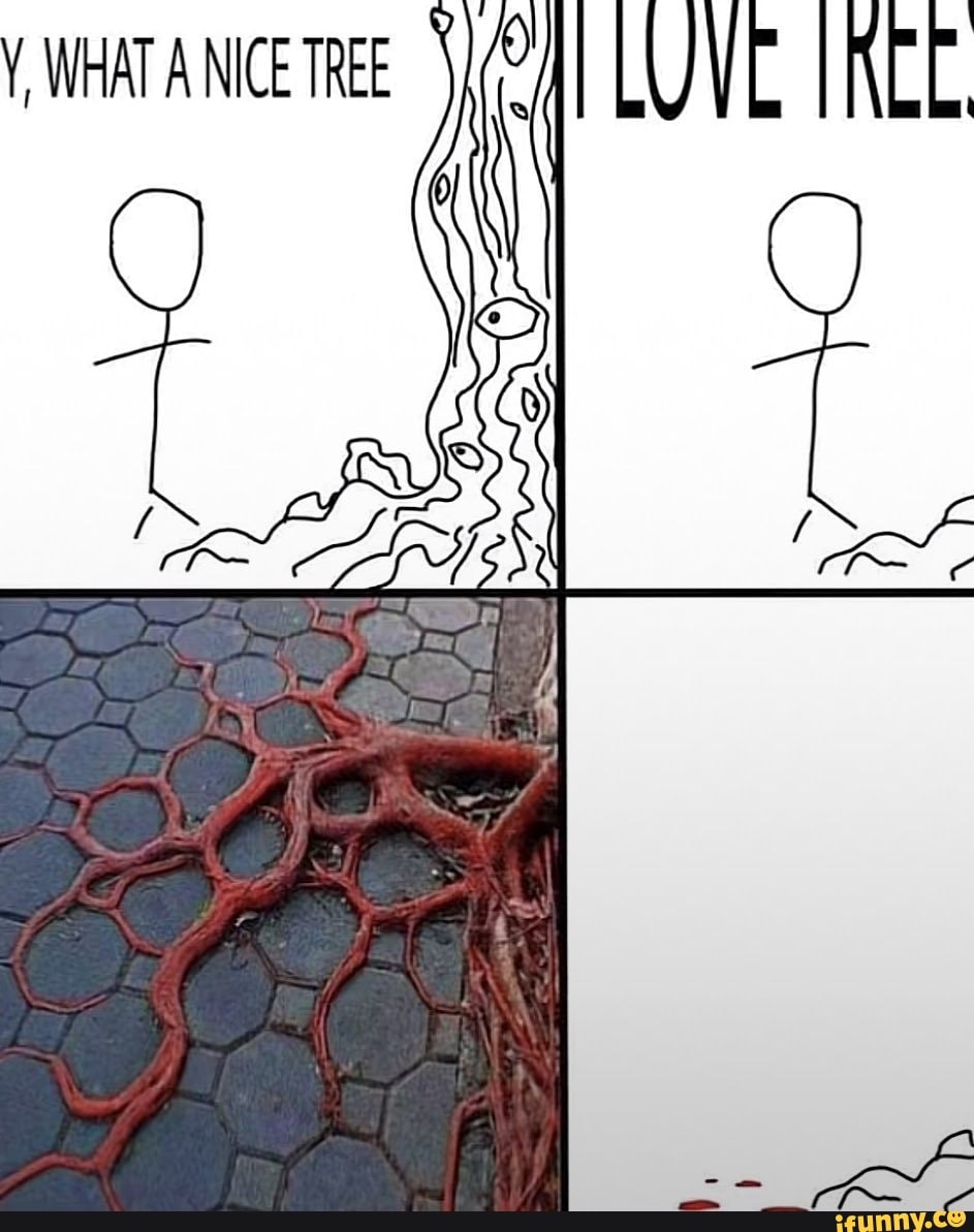 WHAT A NICE TREE - iFunny