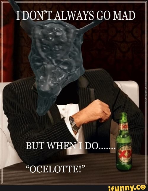 Ocelotte memes. Best Collection of funny Ocelotte pictures on iFunny Brazil