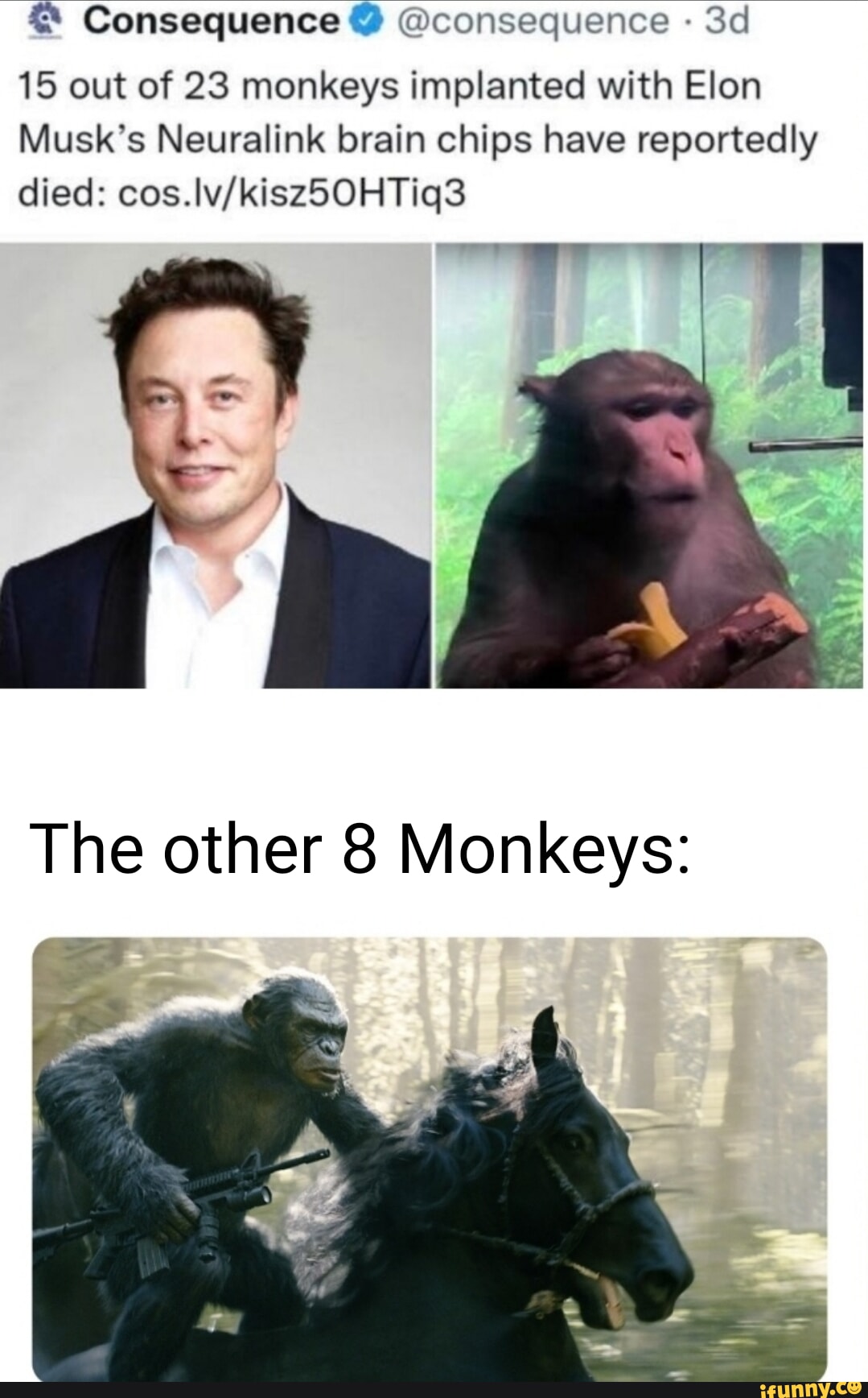 TikToK the _meme - iFunny