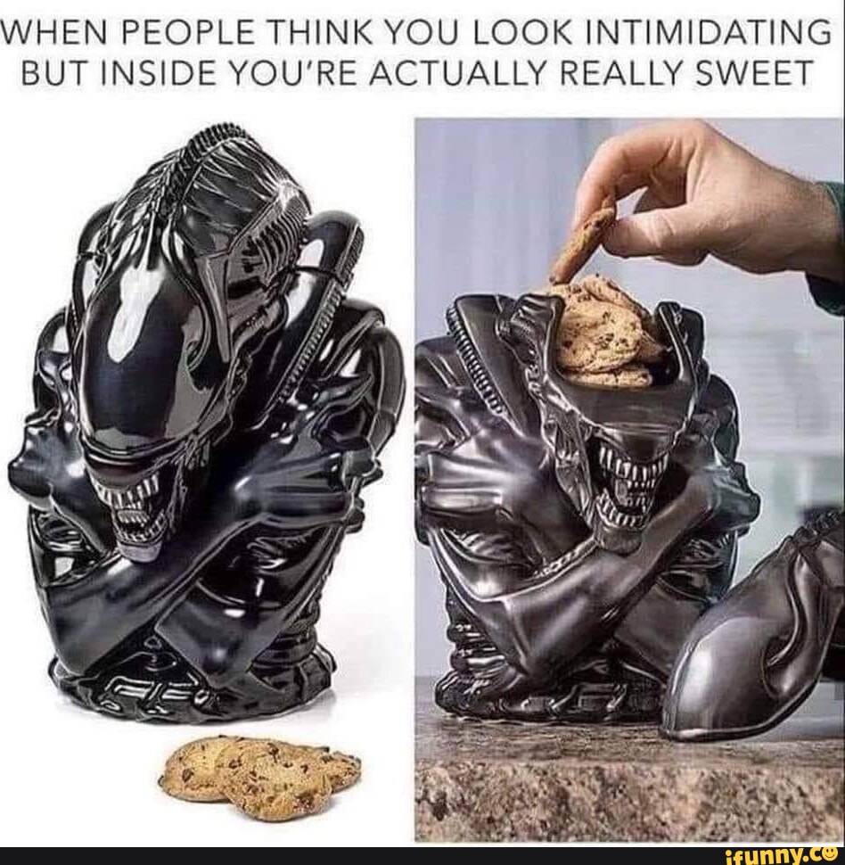 Intimidating memes. Best Collection of funny Intimidating pictures on ...