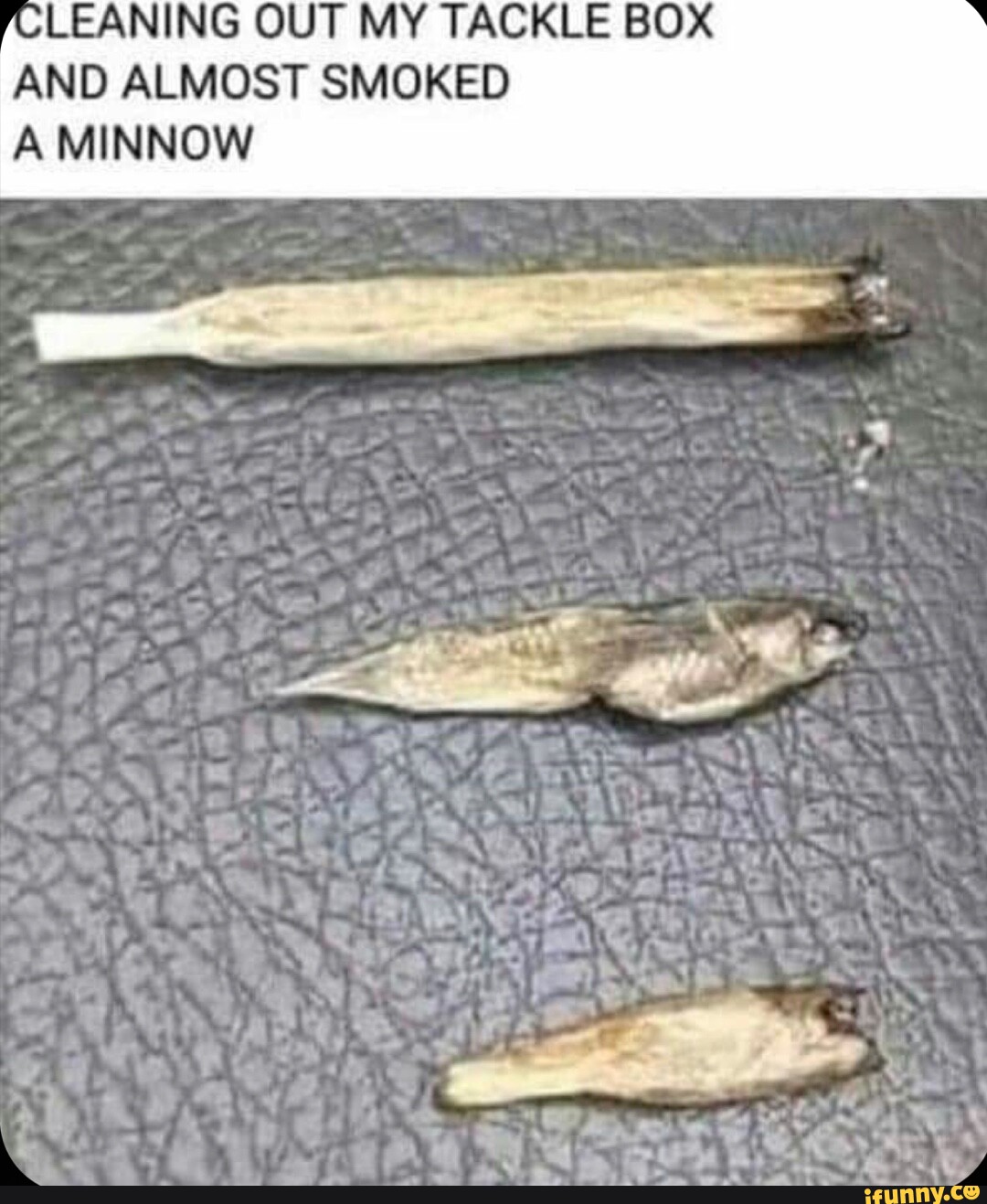 Minnow memes. Best Collection of funny Minnow pictures on iFunny