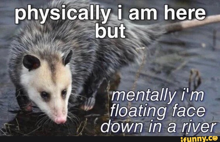 Physically am here but 'mentally floating face down in a river - iFunny