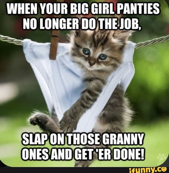 WHEN YOUR BIG GIRL PANTIES NO LONGER THE JOB, SLAP ON THOSE GRANNY ONES ...