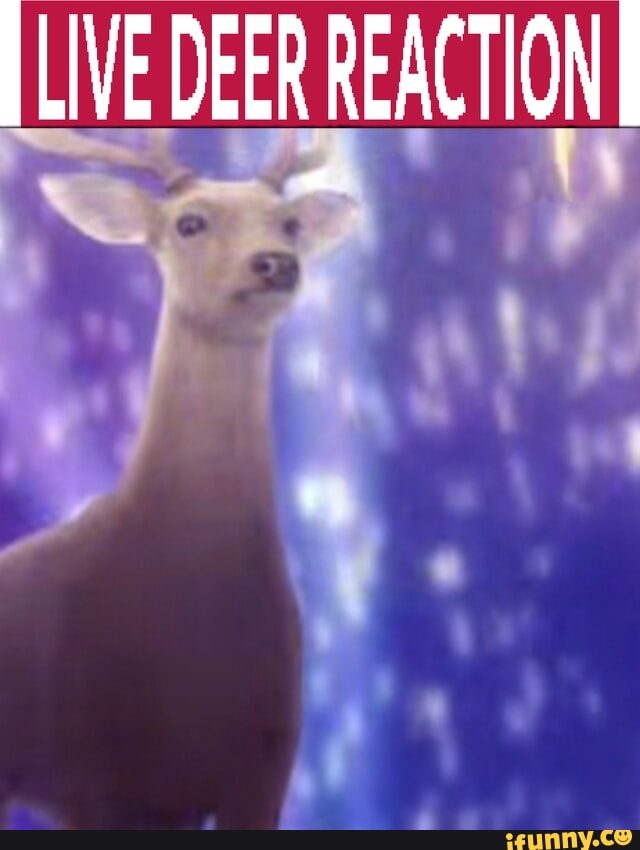 Shikanoko memes. Best Collection of funny Shikanoko pictures on iFunny