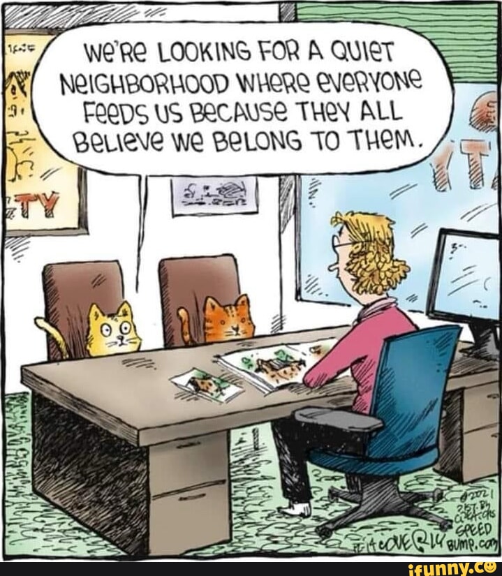 Anatomy of Riftia pachyptila (CG GIANT Chemosynthetic bacteria These ...