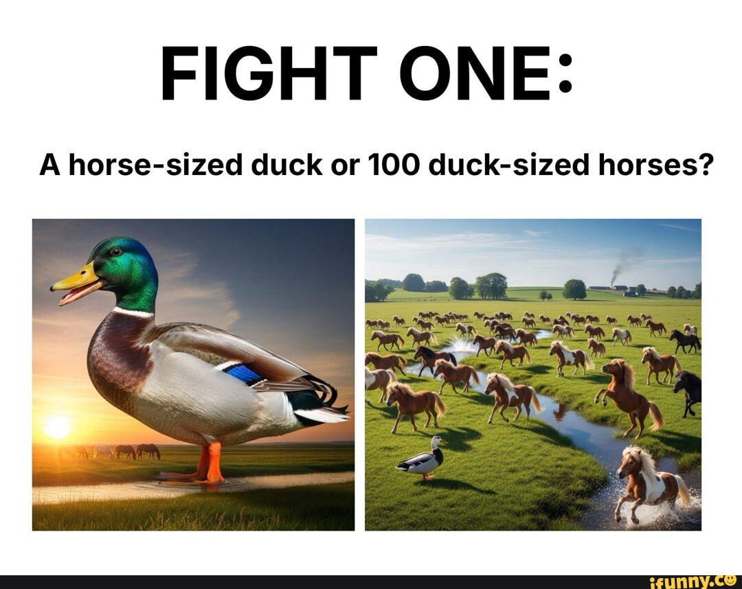Horses memes. Best Collection of funny Horses pictures on iFunny