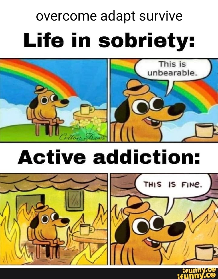 Overcome adapt survive Life in sobriety: This is unbearable. - iFunny