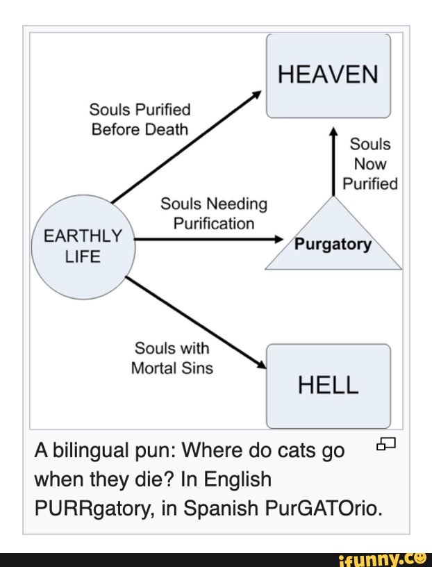 Purgatorio memes. Best Collection of funny Purgatorio pictures on iFunny